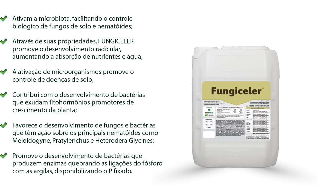 Tecnologia Fungiceler - Nutriceler